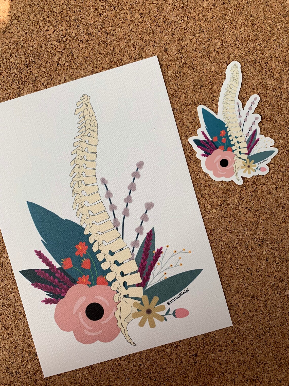 Spine Sticker and Print Anatomy and Plants Stickers | Etsy