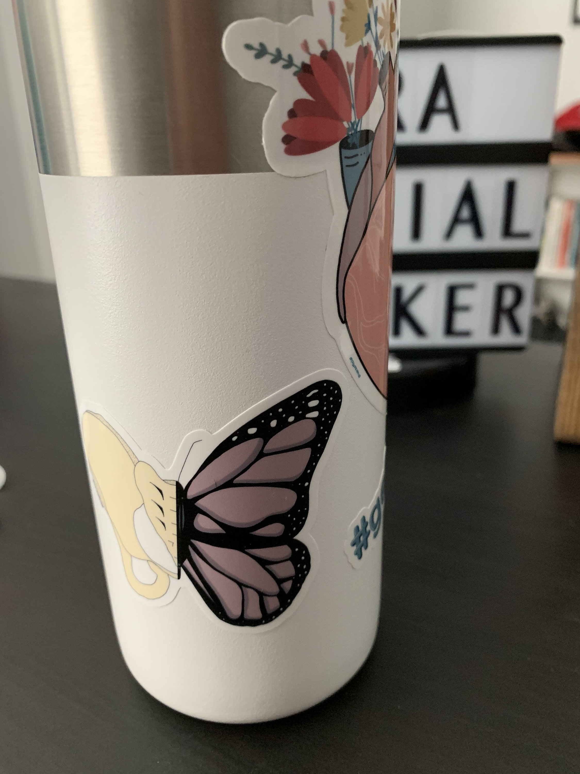 Butterfly Pelvis Anatomy Stickers Vinyl Waterproof | Etsy