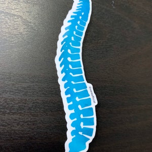 Watercolor Spine Sticker | Anatomy Stickers | Vinyl Waterproof Stickers ...