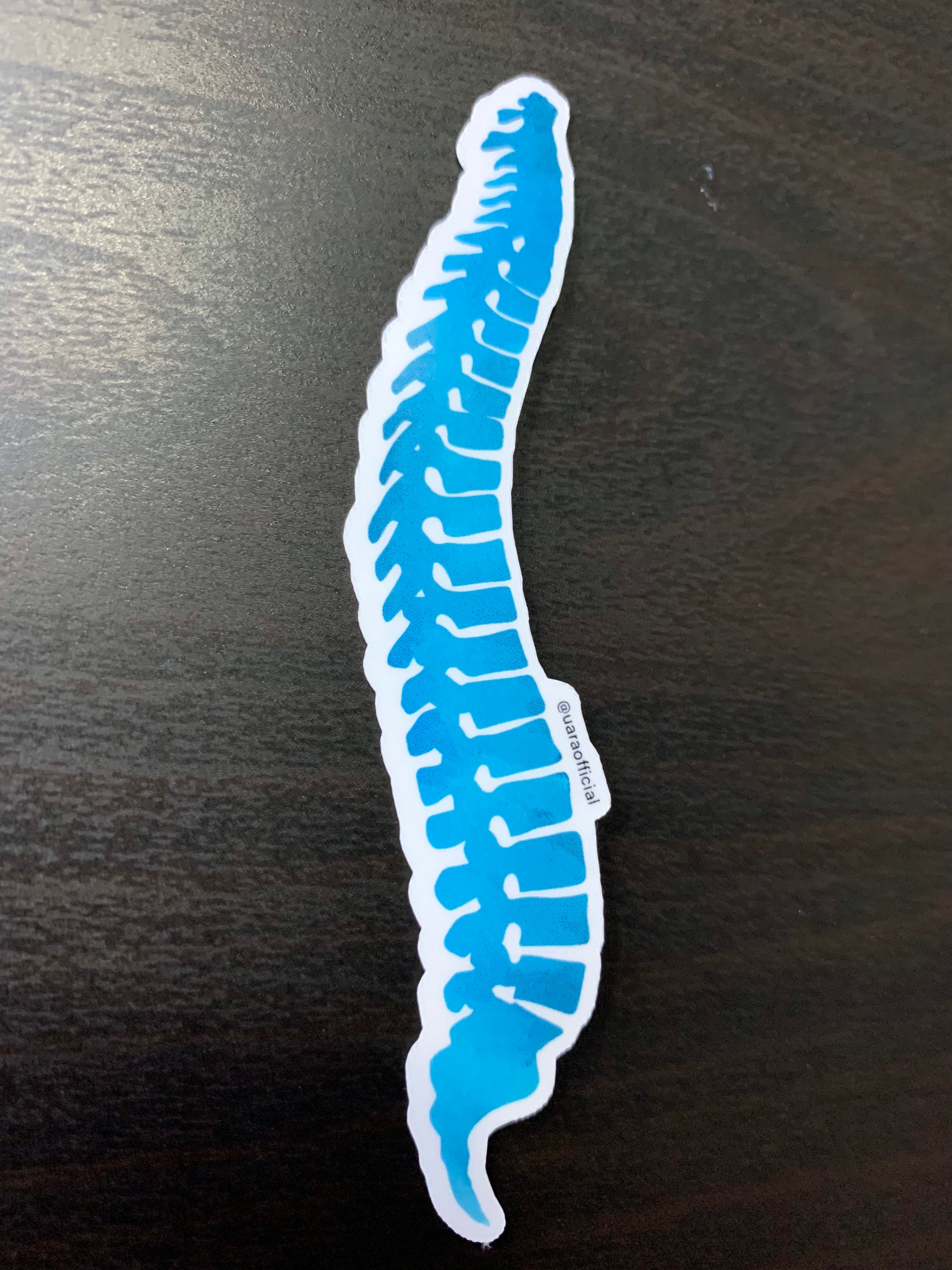 Watercolor Spine Sticker Anatomy Stickers Vinyl Waterproof | Etsy