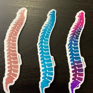 Watercolor Spine Sticker | Anatomy Stickers | Vinyl Waterproof Stickers ...