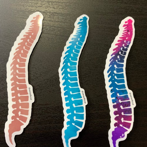 Watercolor Spine Sticker Anatomy Stickers Vinyl Waterproof | Etsy