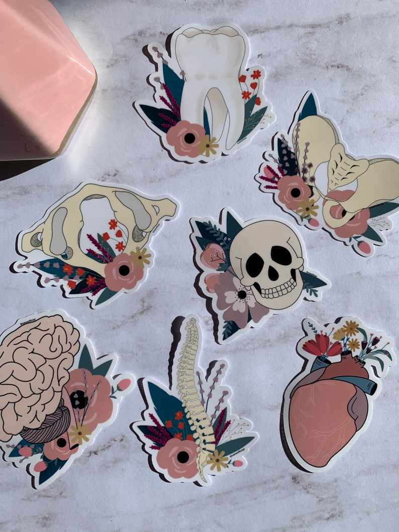Spine Sticker and Print Anatomy and Plants Stickers | Etsy