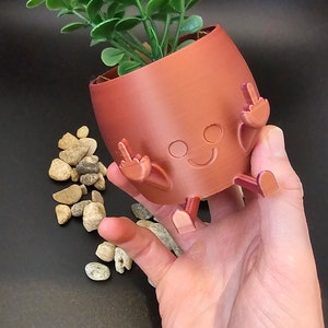 Happy Middle Finger Plant Pot Rude & Offensive Planter Office Co-worker ...