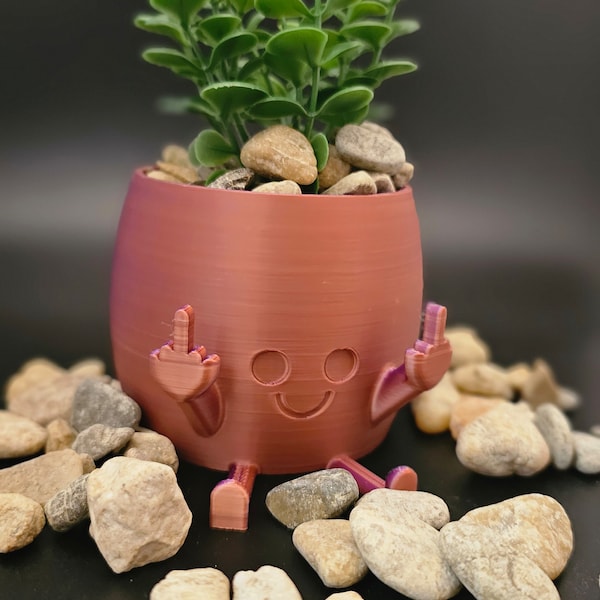Middle Finger Plant Pot - Etsy