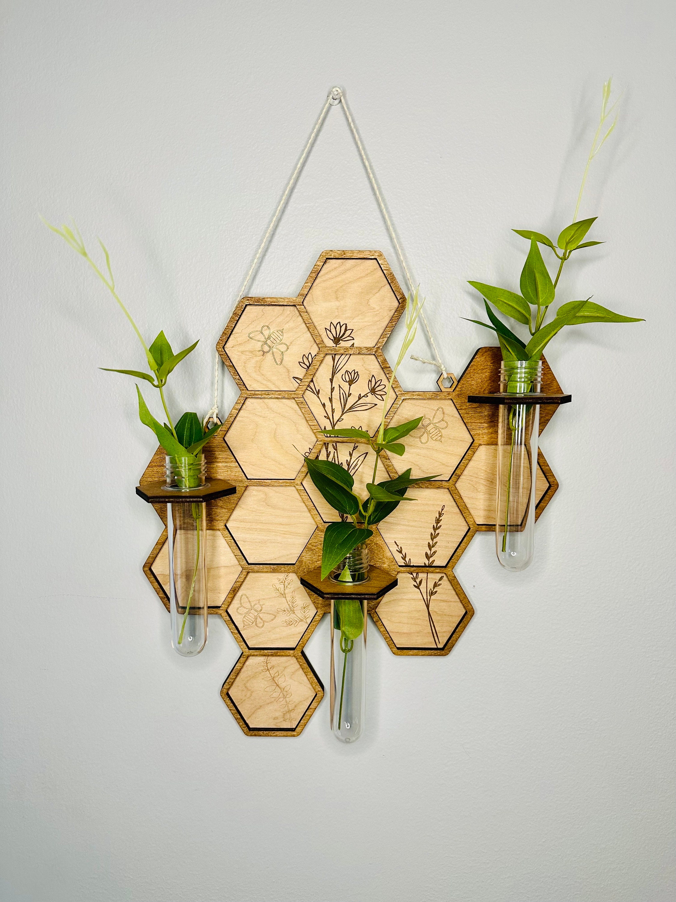 Hexagon Wood Propagation Wall Planter | Indoor Plant Holder | - Etsy