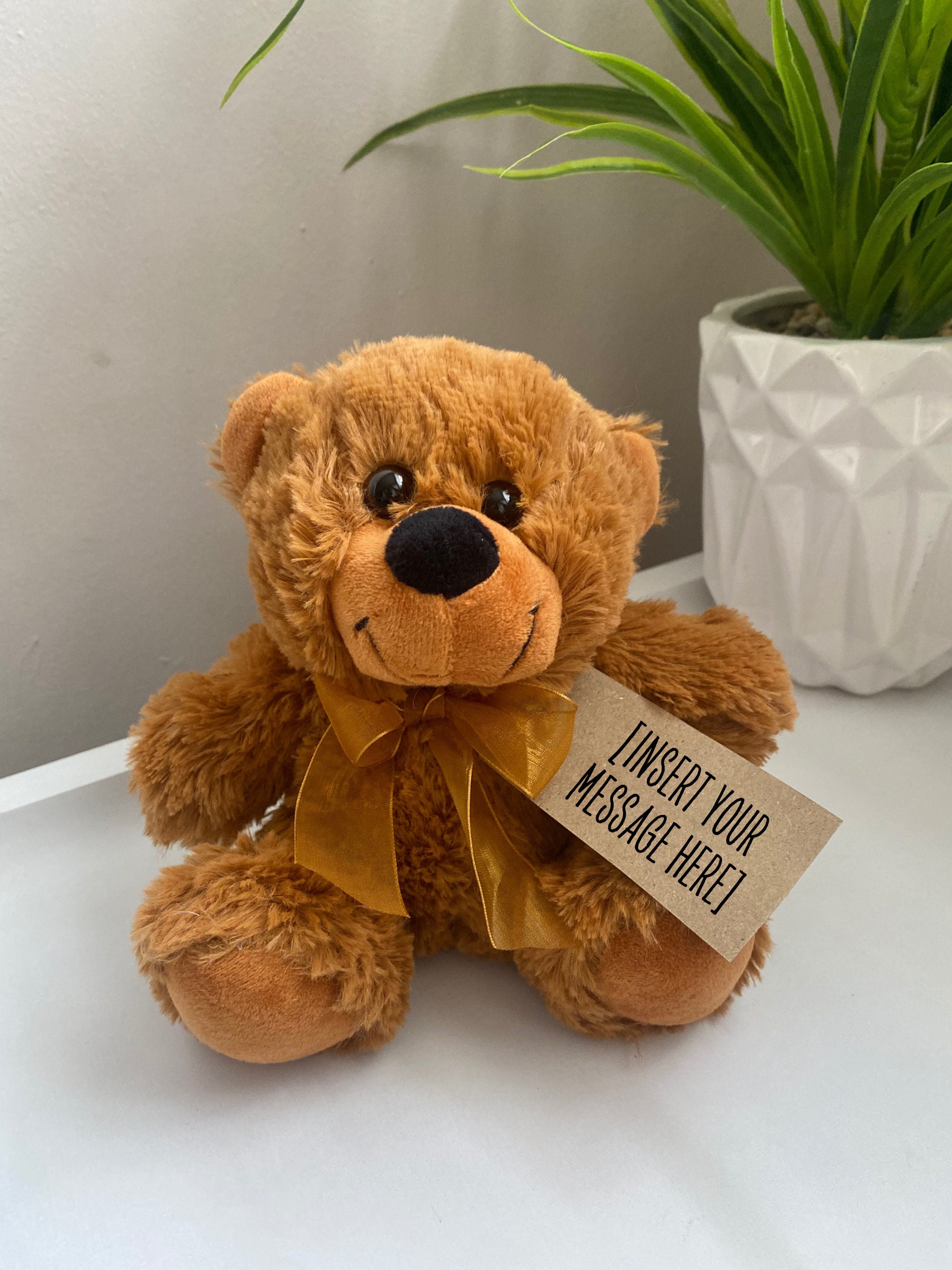 Teddy Bear With Personalised Message super Soft Touch White - Etsy UK