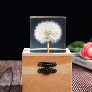 Dandelion Resin Cube Real Dandelion in Crystal Glass Ball Dandelion ...