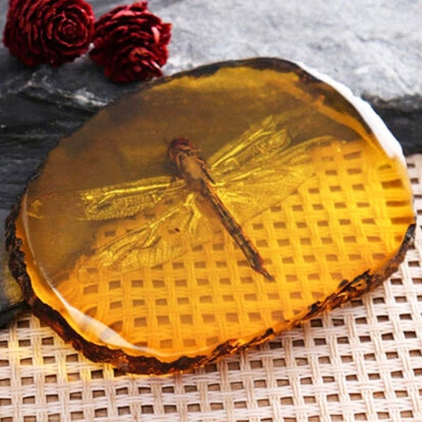 Dragonfly in Amber - Etsy