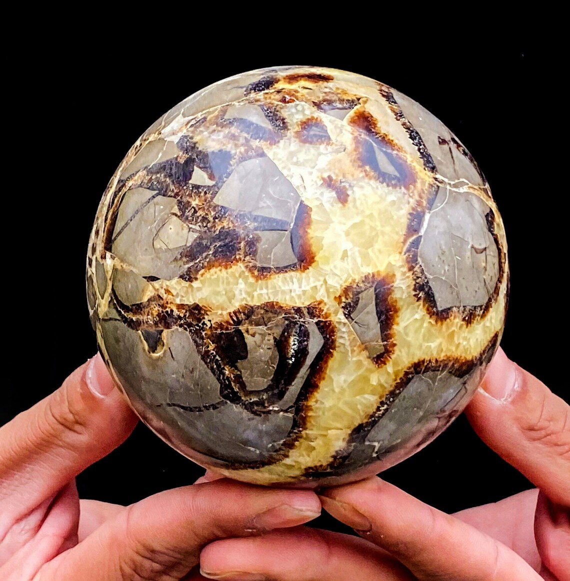 Dragon Septarian Sphere Dragon Septarium Crystal Ball - Etsy