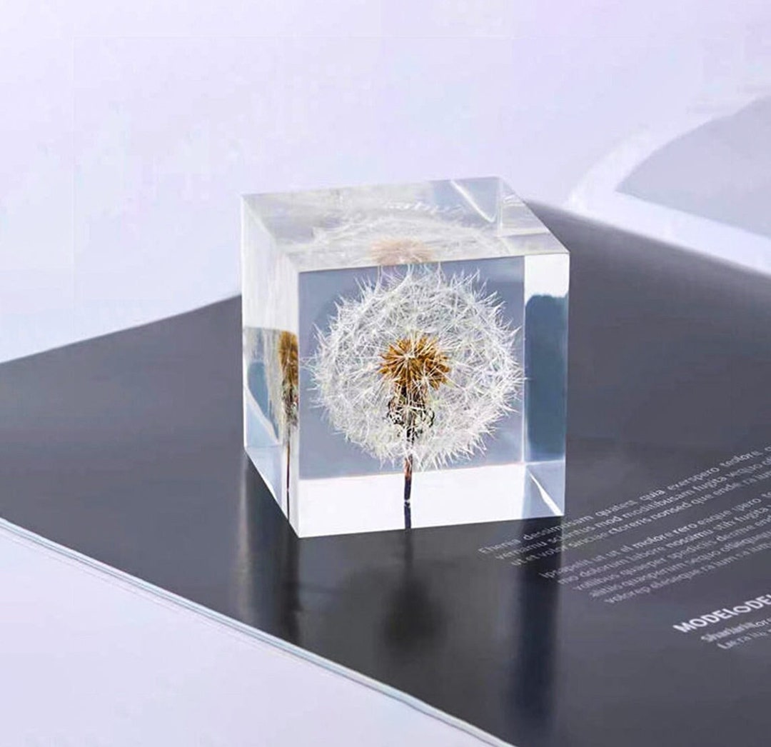 Dandelion Resin Cube Real Dandelion in Crystal Glass Ball Dandelion ...