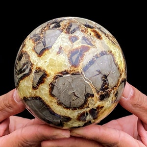 Dragon Septarian Sphere Dragon Septarium Crystal Ball Specimen Mineral ...