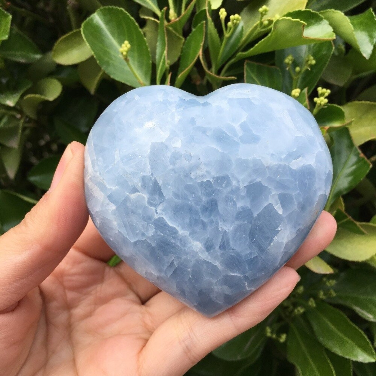 Natural Celestite Crystal Heart Hand Made Celestite Crystal - Etsy