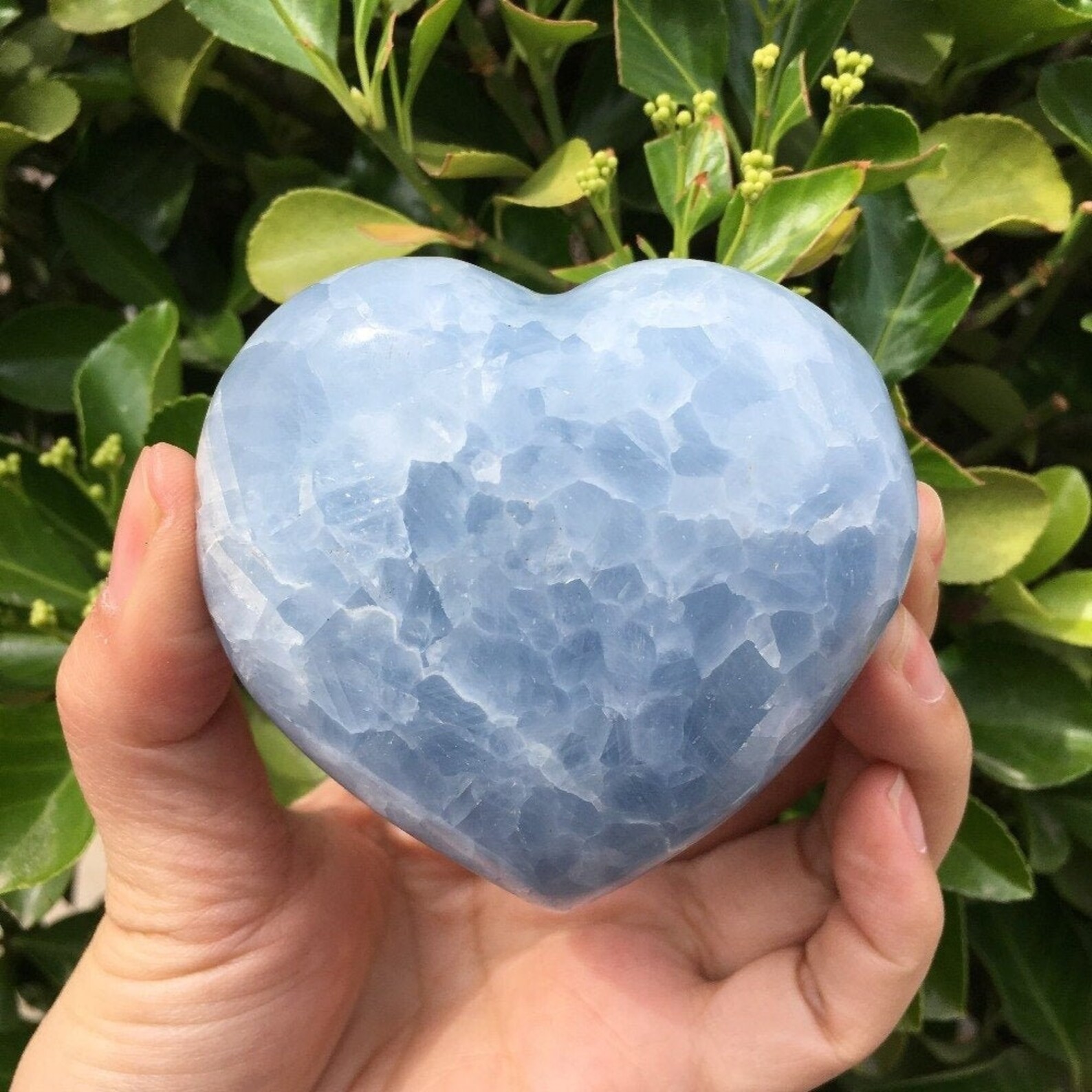 Natural Celestite Crystal Heart Hand Made Celestite Crystal - Etsy