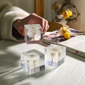 Dandelion Resin Cube Real Dandelion in Crystal Glass Ball Dandelion ...