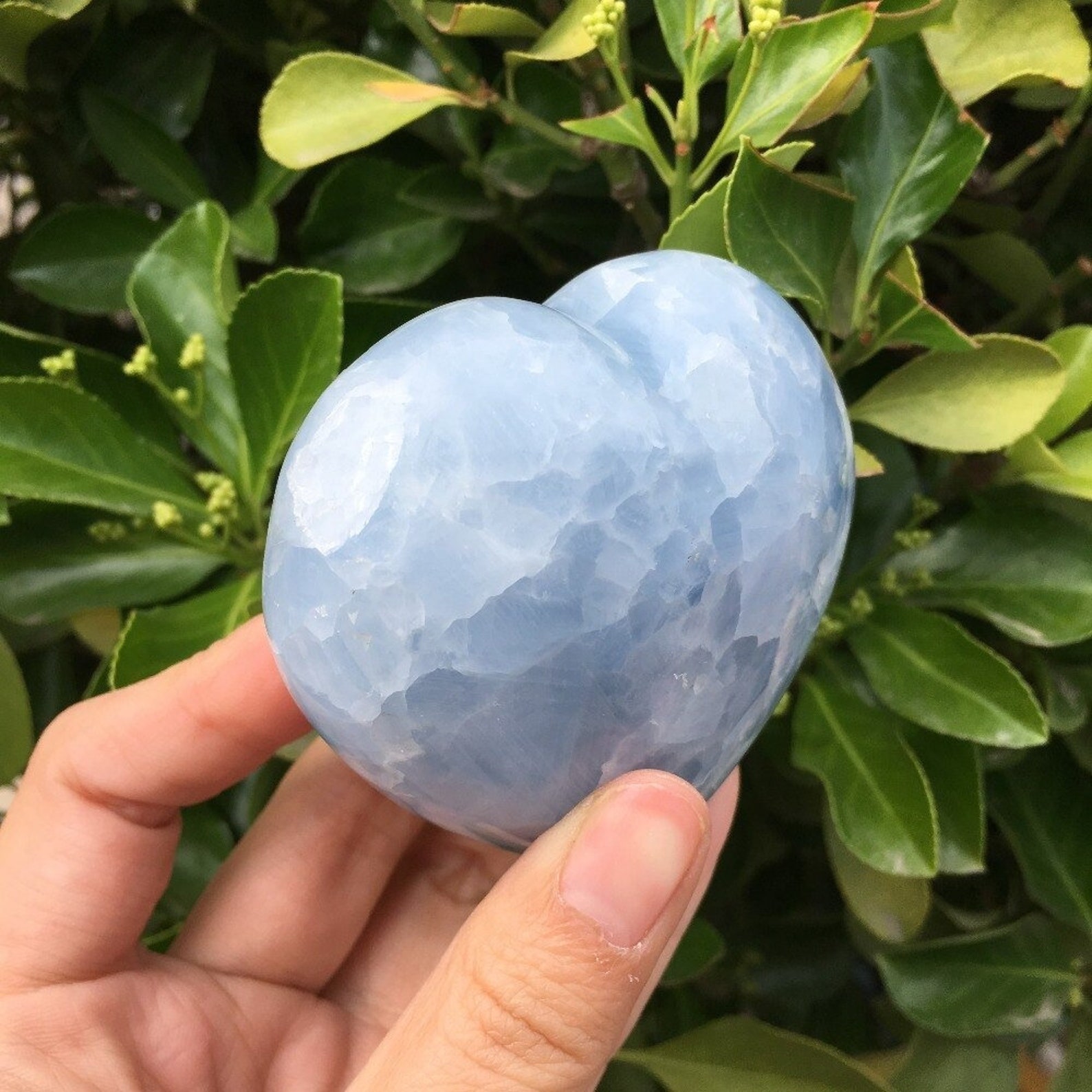 Natural Celestite Crystal Heart Hand Made Celestite Crystal - Etsy