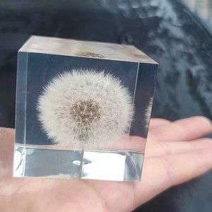 Dandelion Resin Cube Real Dandelion in Crystal Glass Ball Dandelion ...