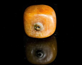 Pressed Amber - Etsy