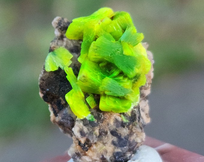 Super Rare Autunite Cluster Fluorescent From Autun France, Unique ...