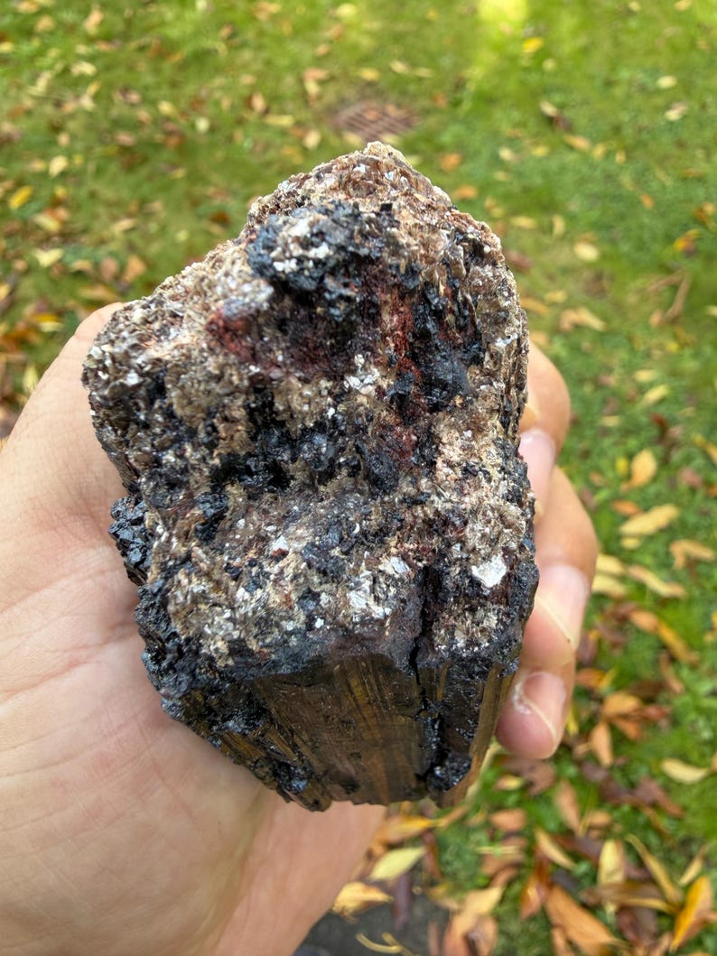 Natural Black Tourmaline Crystal With Muscovite Specimen, High Grade ...