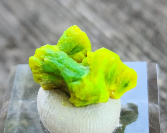 Super Rare Autunite Cluster Fluorescent From Autun France, Unique ...