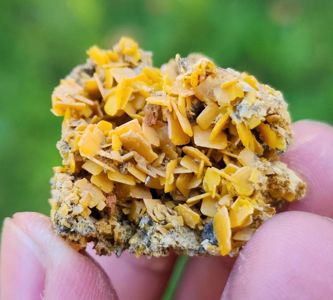 Natural Yellow Wulfenite Specimen From San Francisco Mine Mexico, Such ...