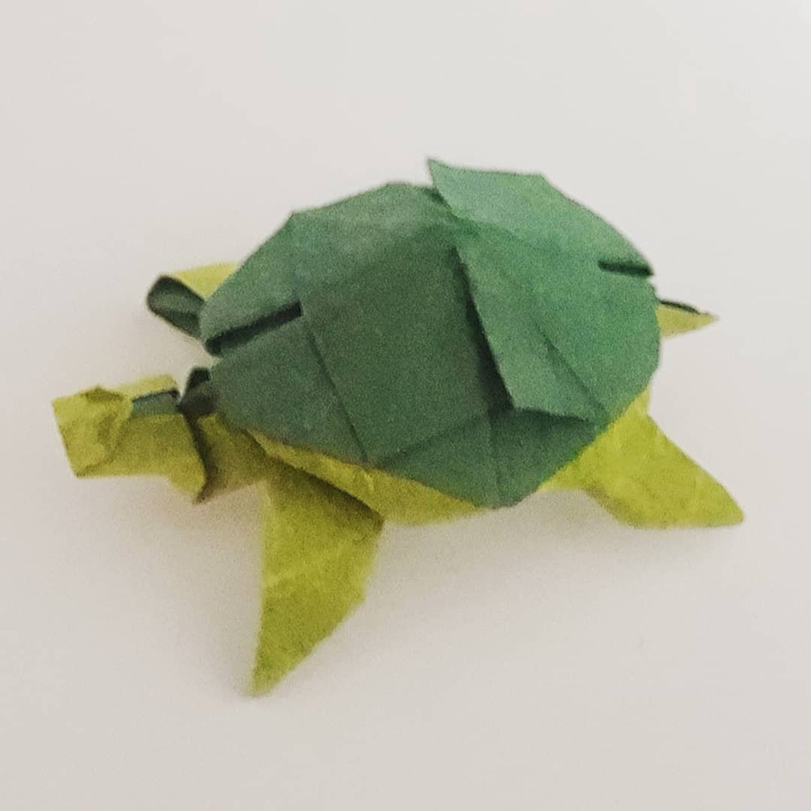 Turtle Buddies, Cute Turtles, Origami Turtles, Little Turtles, Paper ...
