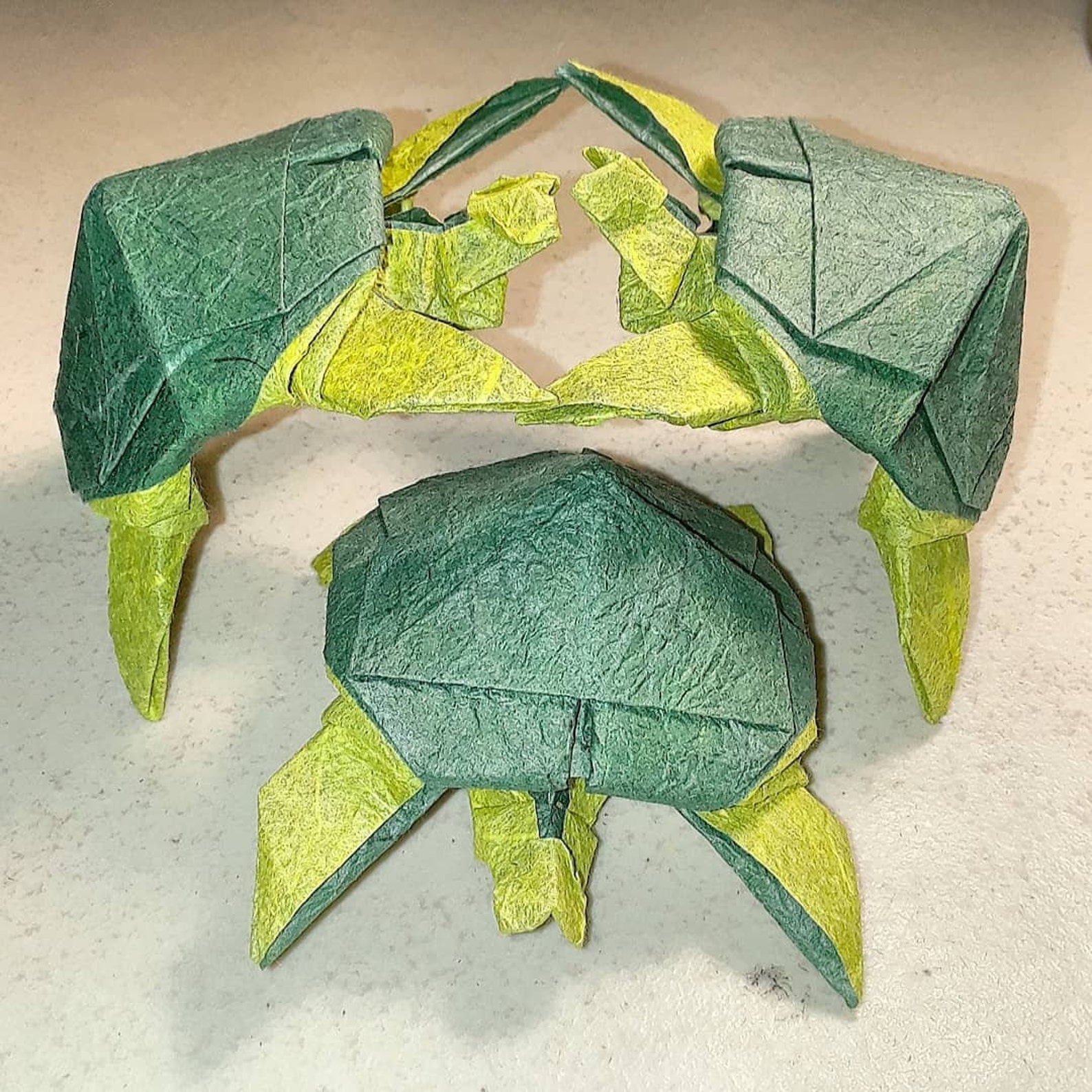 Turtle Buddies, Cute Turtles, Origami Turtles, Little Turtles, Paper ...