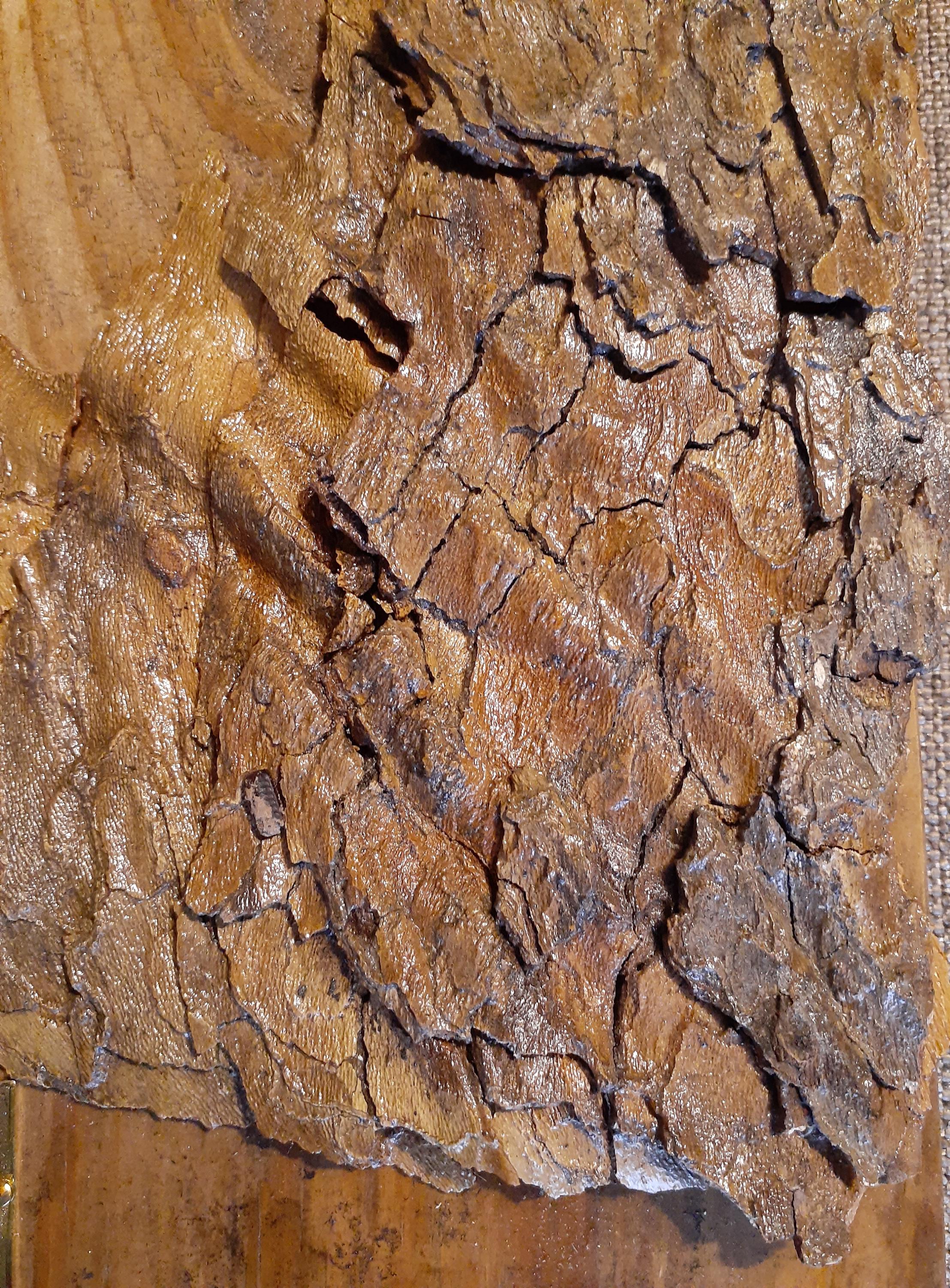 Sycamore Bark Wood Art: One-of-a-kind Wall Decor on a 2x8 Pine Board ...