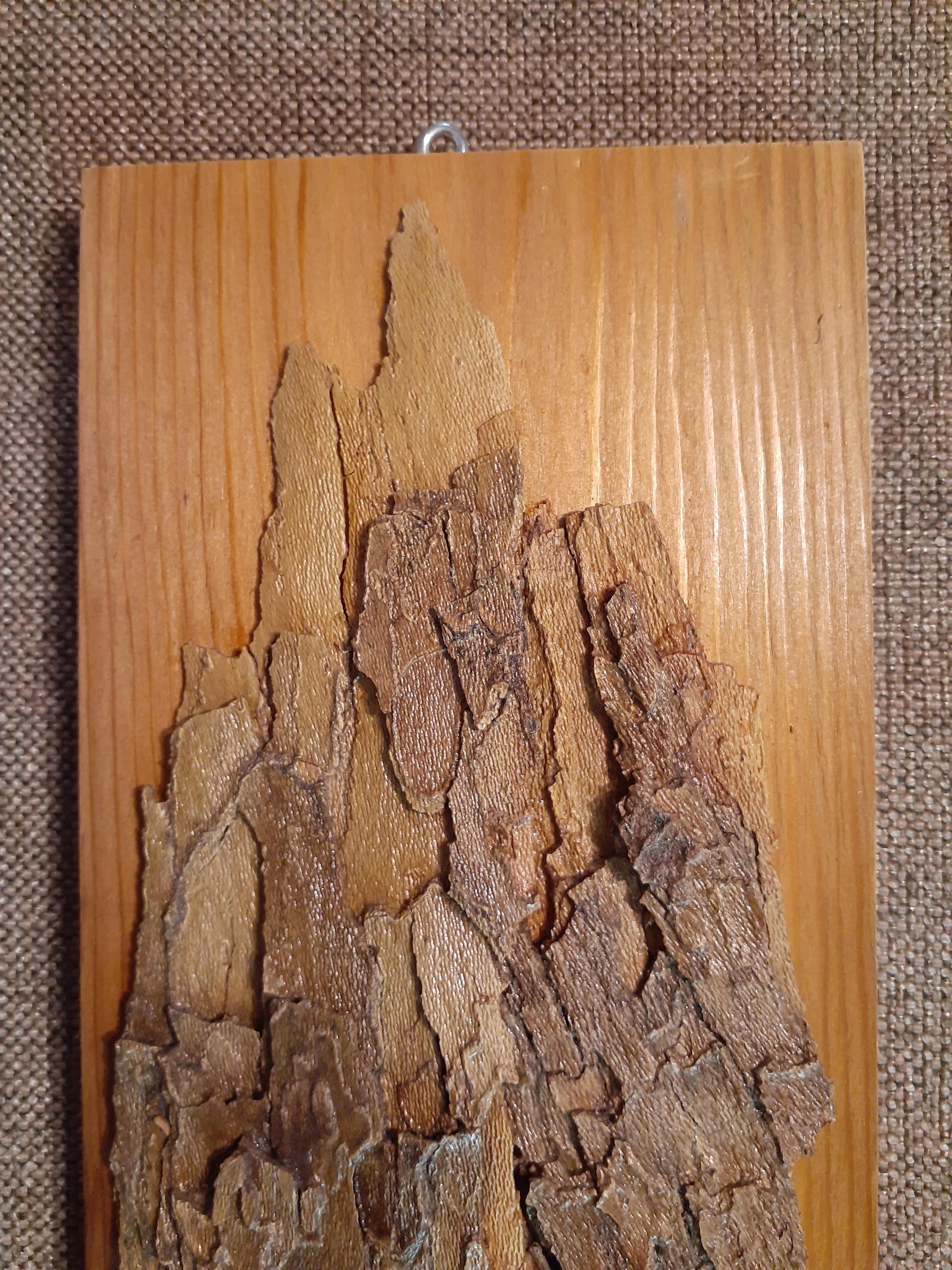Sycamore Bark Wood Art: Reclaimed Cedar Board, Natural Wall Decor, 18 ...