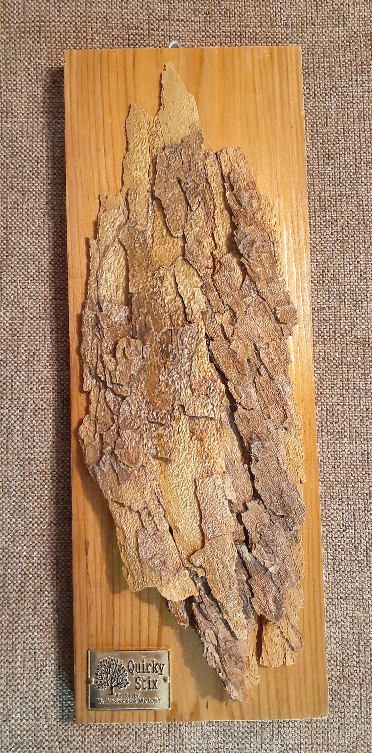 Sycamore Bark Wood Art: Reclaimed Cedar Board, Natural Wall Decor, 18 ...