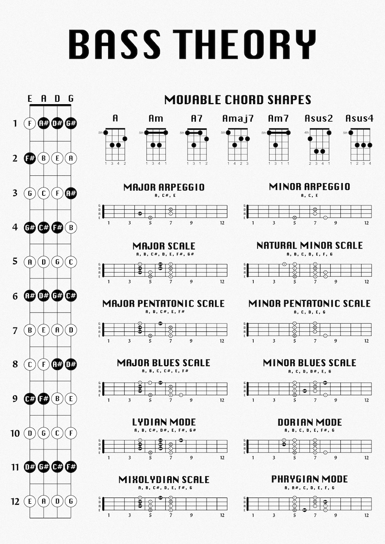 Bass Guitar Theory Poster Bass Chord Chart Bass Fret Notes - Etsy