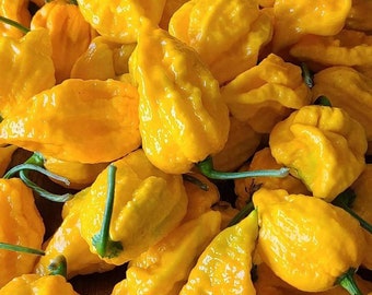 Serrano Chili Pepper Seeds 10 - Etsy