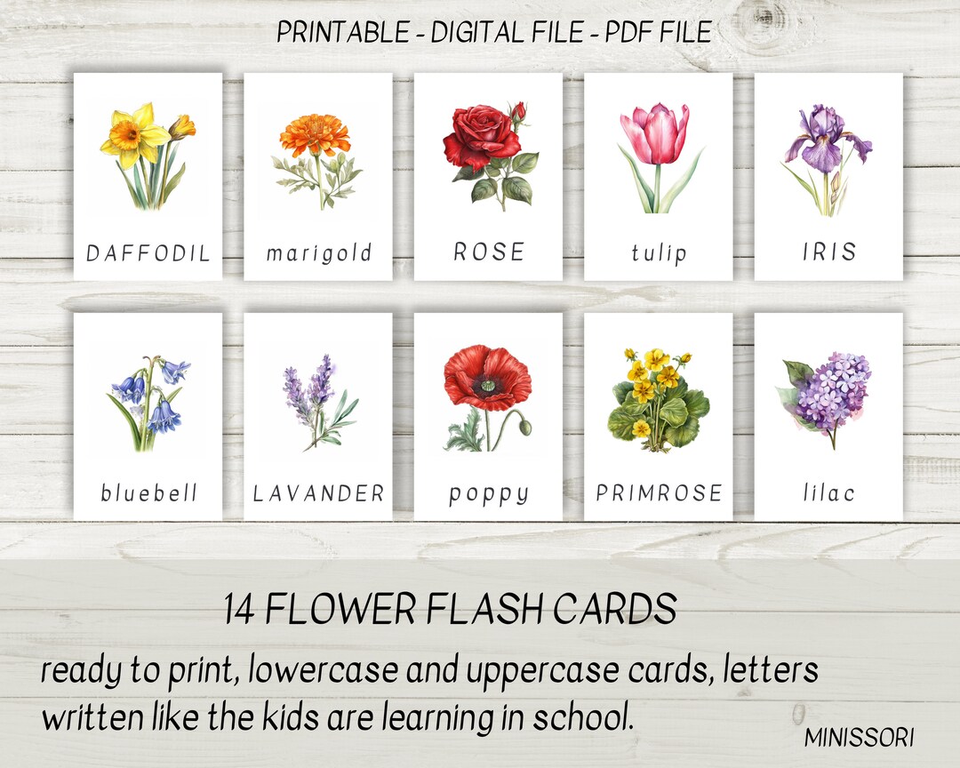 14 FLOWER FLASH CARDS Printable Flash Cards Educational - Etsy