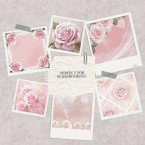 Blush Pink Roses and White Lace Digital Paper, 6 Paint Textured ...