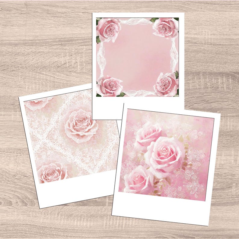 Blush Pink Roses and White Lace Digital Paper, 6 Paint Textured ...
