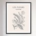 Floral Exhibition Print, Modern Abstract Floral Art, Botanical Museum ...