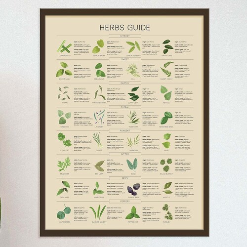 Types of Herbs Print Herb Guide Kitchen Wall Decor Cottage - Etsy