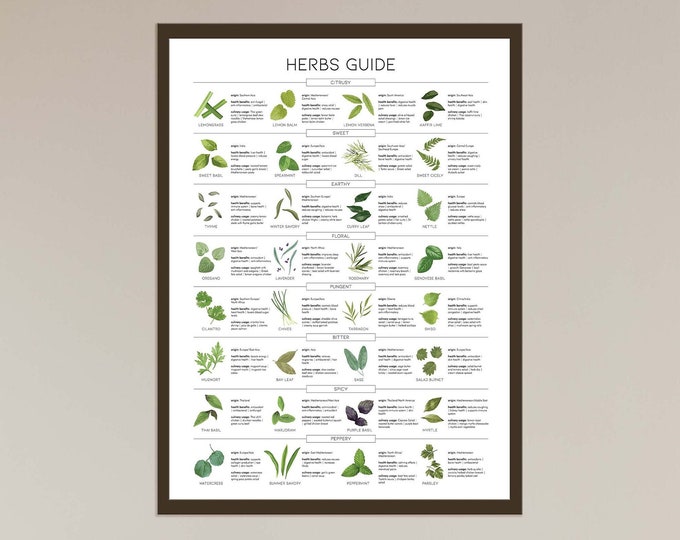 Culinary Herb Chart Etsy