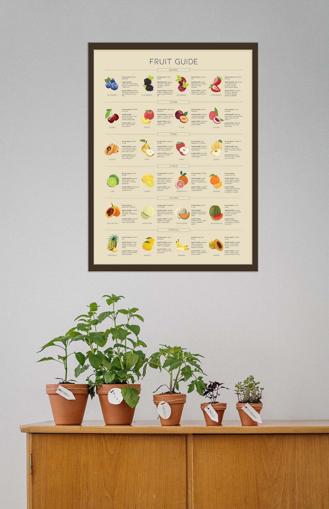 Fruit Guide Poster Types of Fruit Print Minimalist Kitchen - Etsy