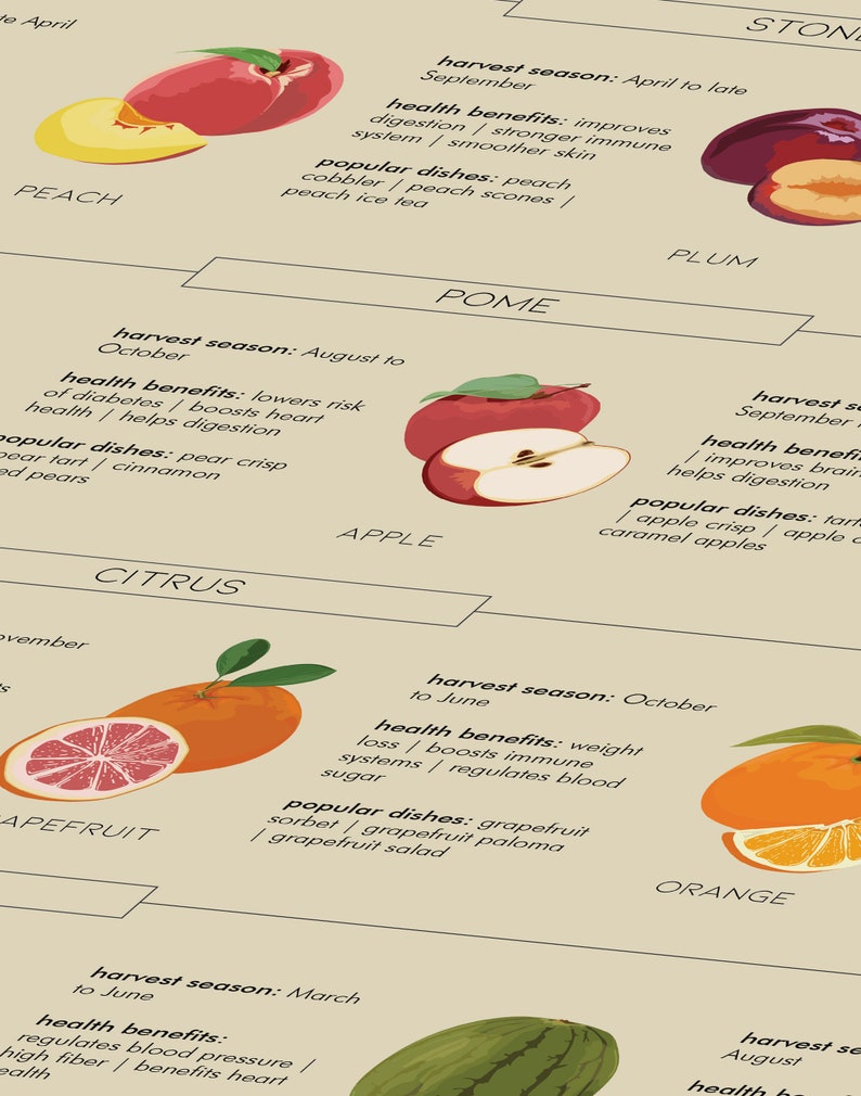 Fruit Guide Poster Types of Fruit Print Minimalist Kitchen - Etsy