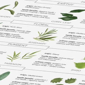 Types of Herbs Print, Herb Guide, Kitchen Wall Decor, Cottage Core Wall ...