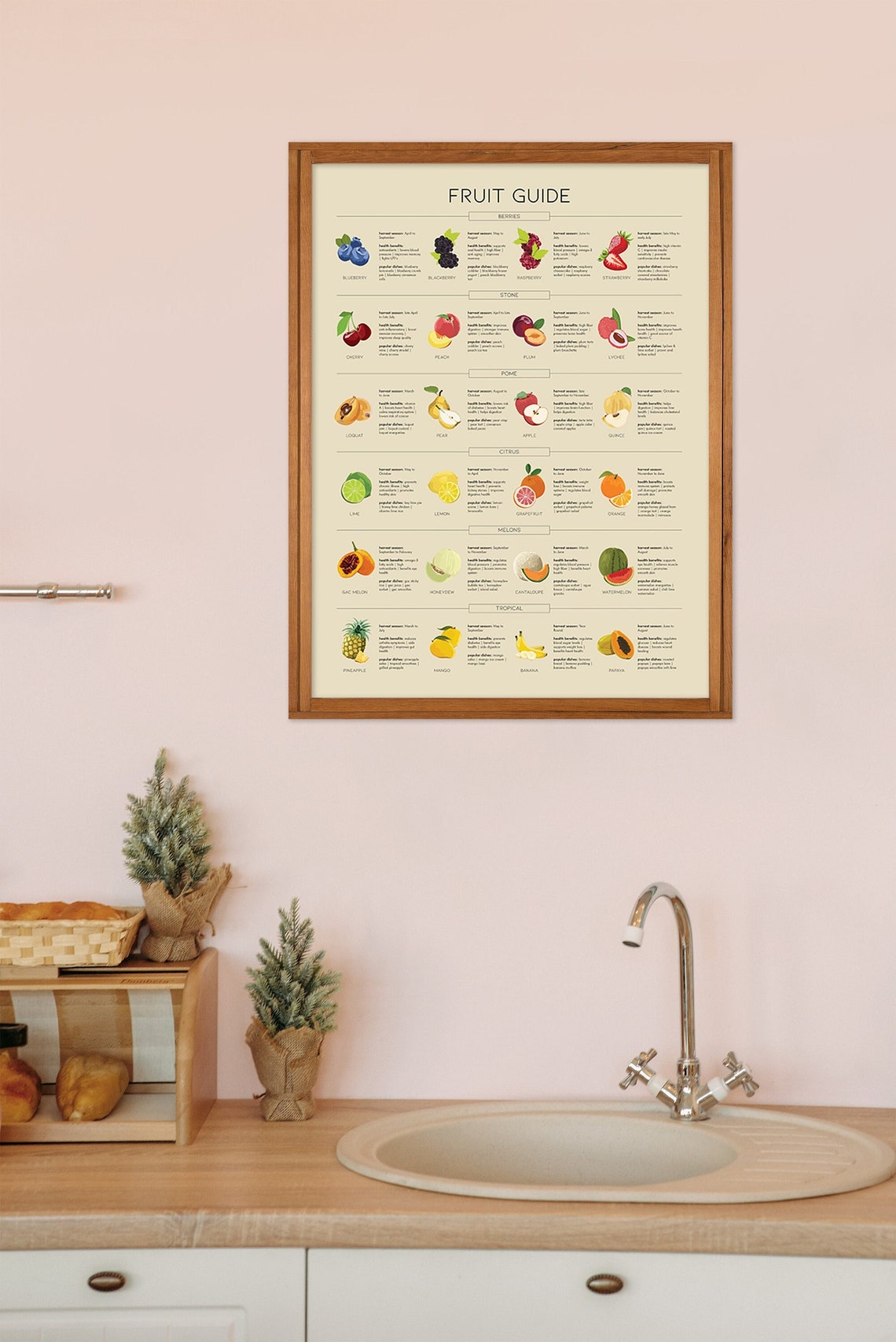 Fruit Guide Poster Types of Fruit Print Minimalist Kitchen - Etsy