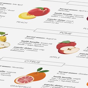Fruit Guide Poster, Types of Fruit Print, Minimalist Kitchen Wall Decor ...