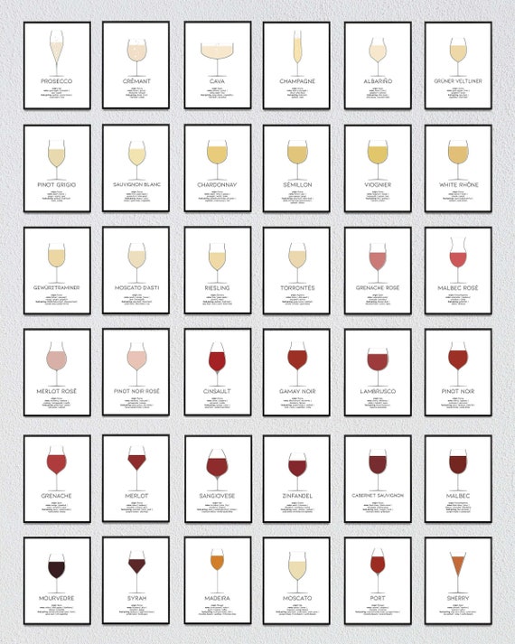 Bundle 36 Wine Types Print Wine Guide Wine and Food Pairing | Etsy