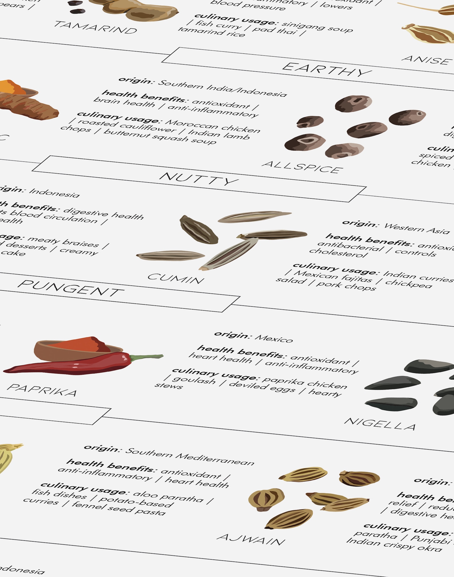 Types of Spices Print, Spices Guide, Kitchen Wall Decor, Food ...