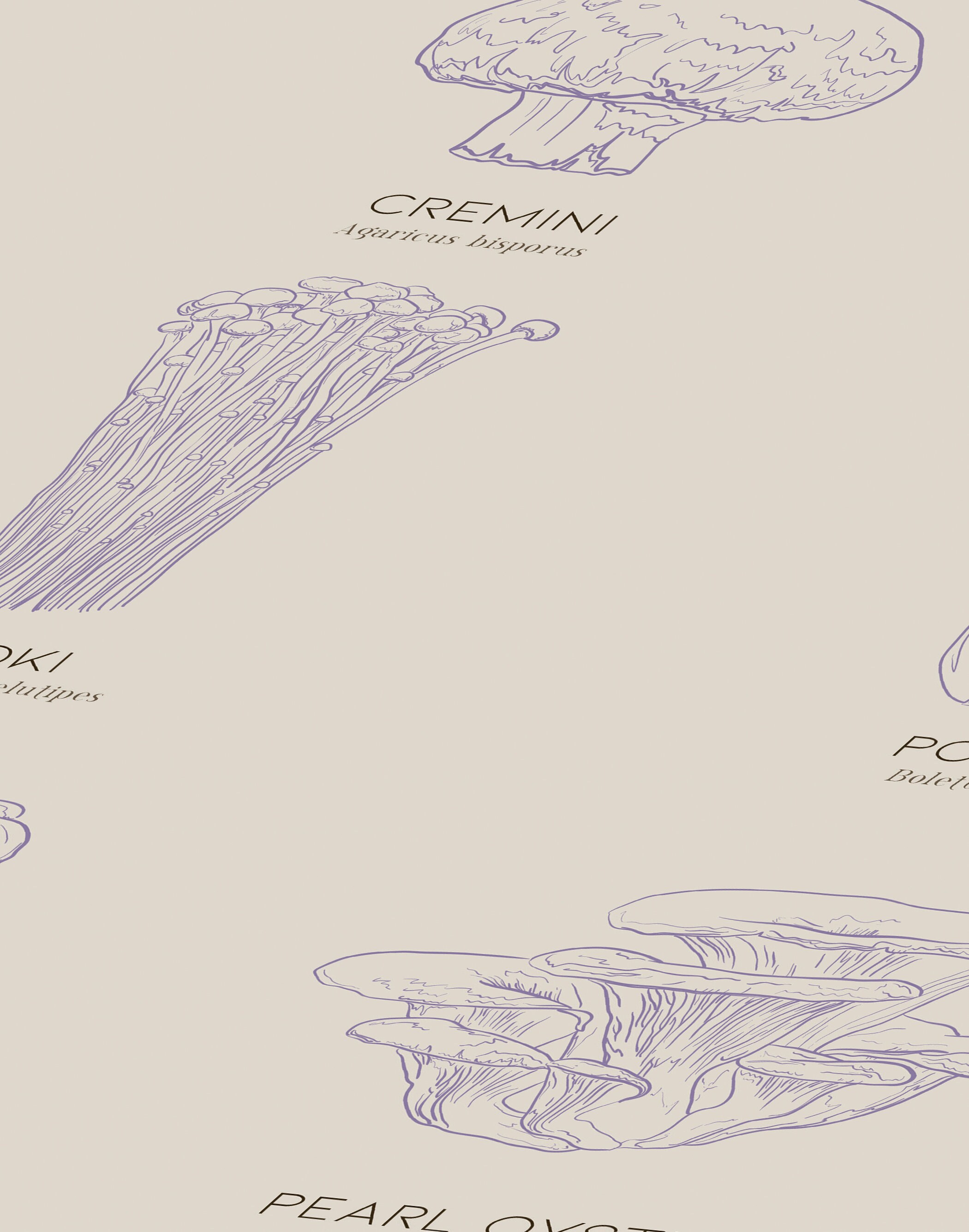 Fine Line Mushrooms Guide, Types of Mushrooms Wall Art, Purple ...