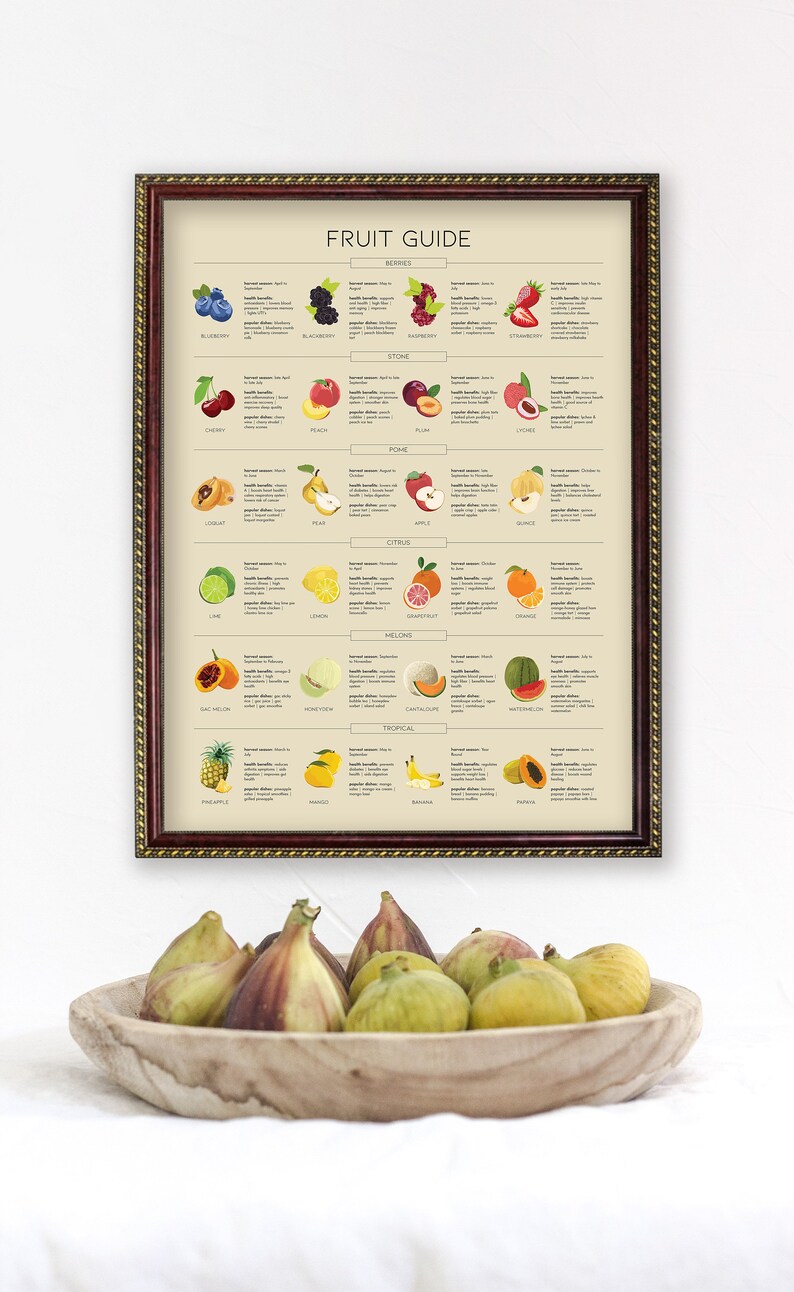 Fruit Guide Poster Types of Fruit Print Minimalist Kitchen - Etsy