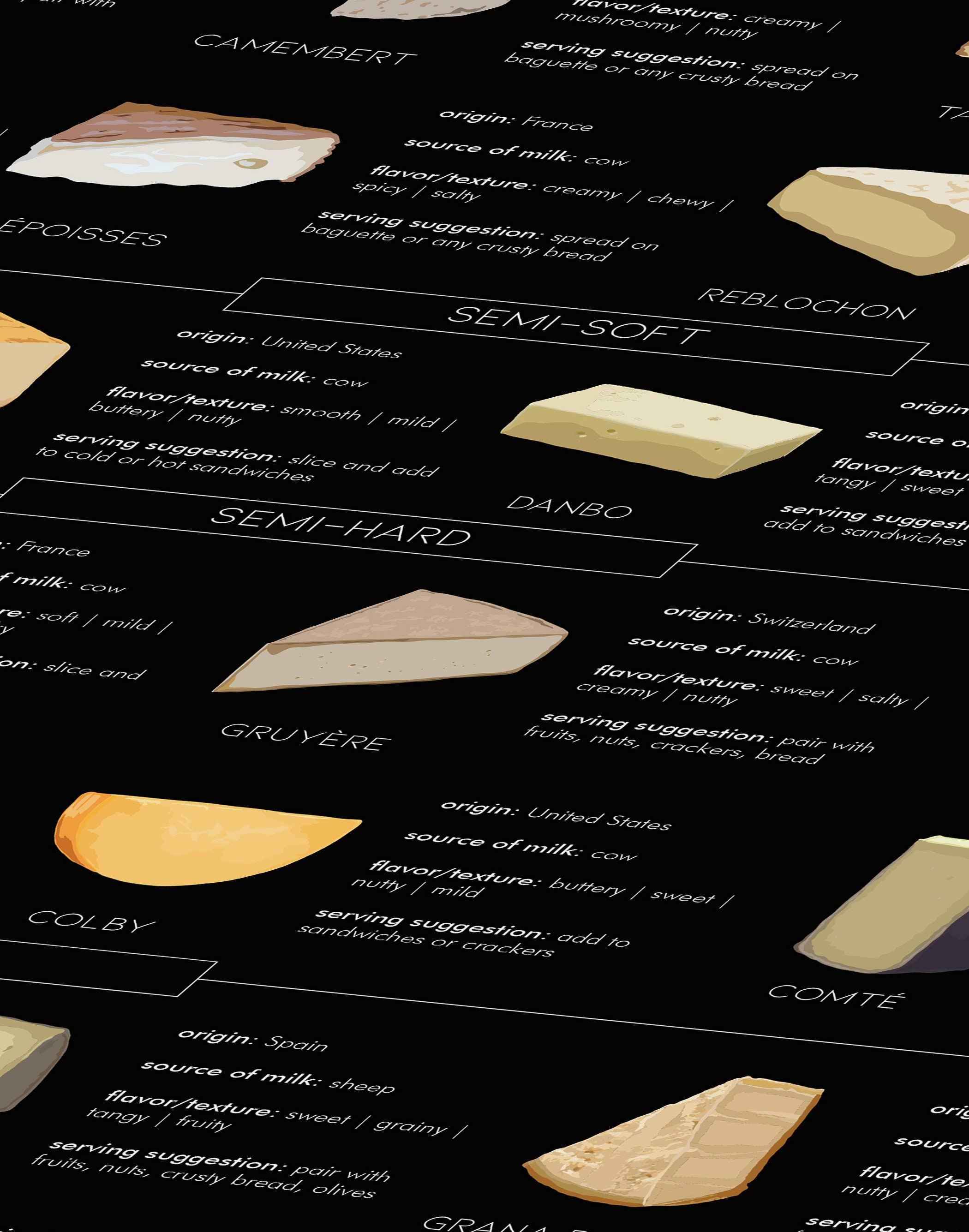 Types of Cheese Print, Cheese Guide, Cheese Infographic Printable, Food ...