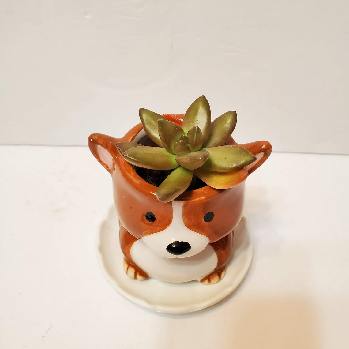 Mini Dog Planter With Succulent, Animal Planter, Houseplant Gift, Corgi ...